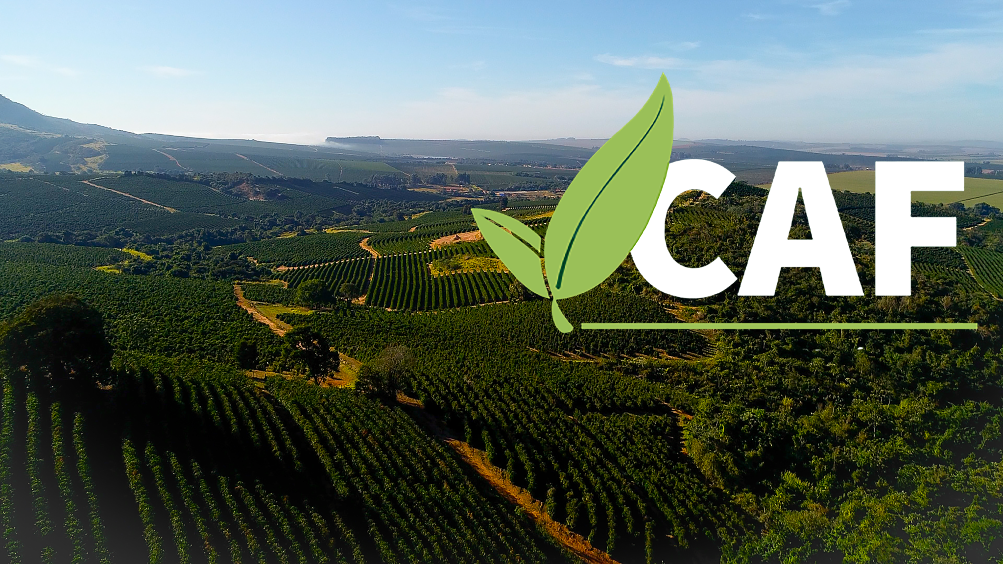 VOCÊ SABIA QUE A DAP AGORA É CAF? – Capebe